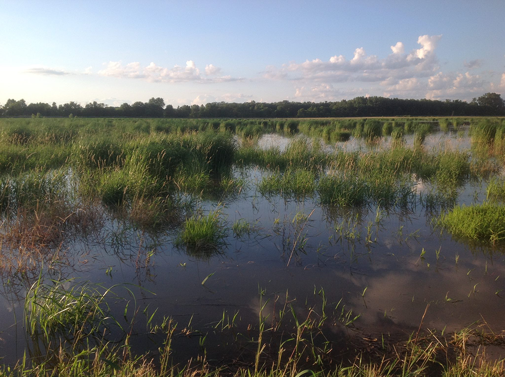 Properties | Hare Trust